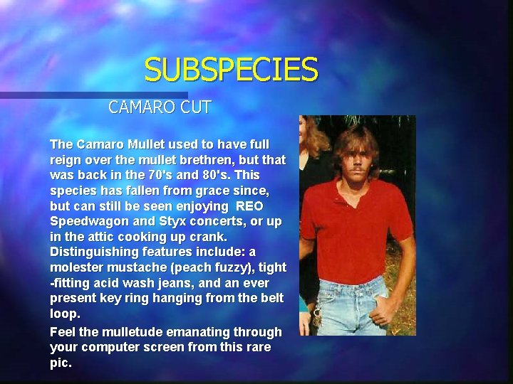 THE MULLET DEFINITION Mullet mulit a hairstyle common