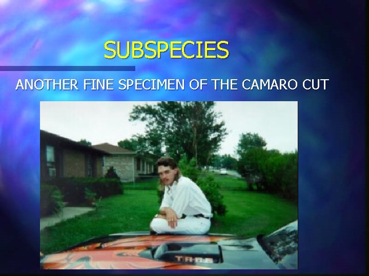 THE MULLET DEFINITION Mullet mulit a hairstyle common