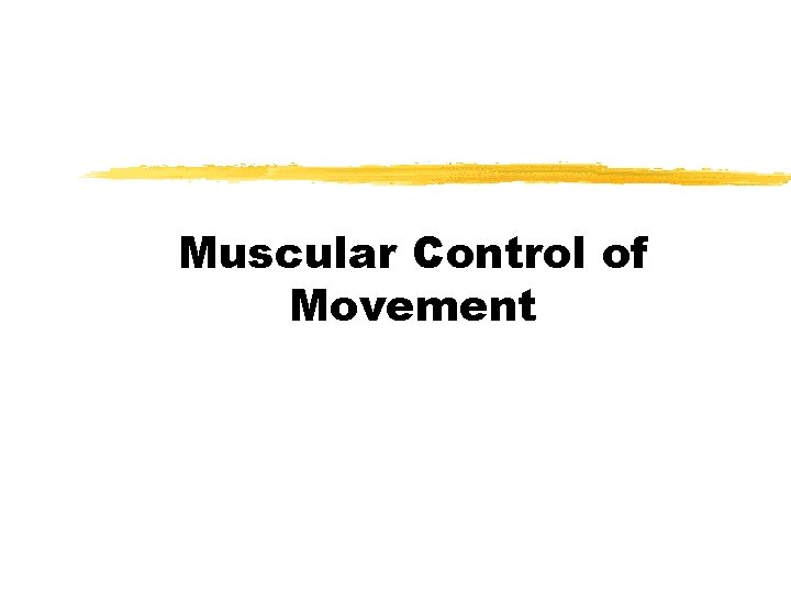 Muscular Control of Movement Types of Muscles z