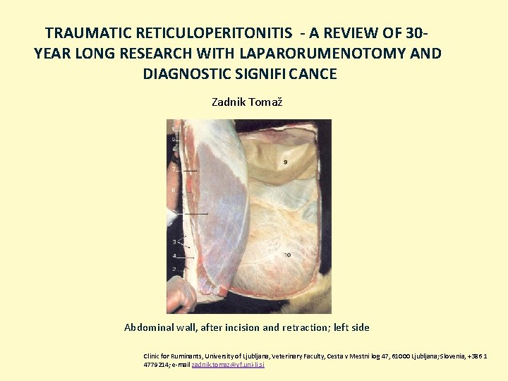 TRAUMATIC RETICULOPERITONITIS A REVIEW OF 30 YEAR LONG