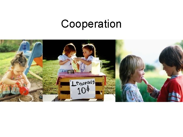 The Four Levels of Behavior A level Anarchy