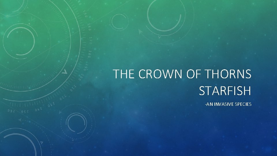 THE CROWN OF THORNS STARFISH AN INVASIVE SPECIES