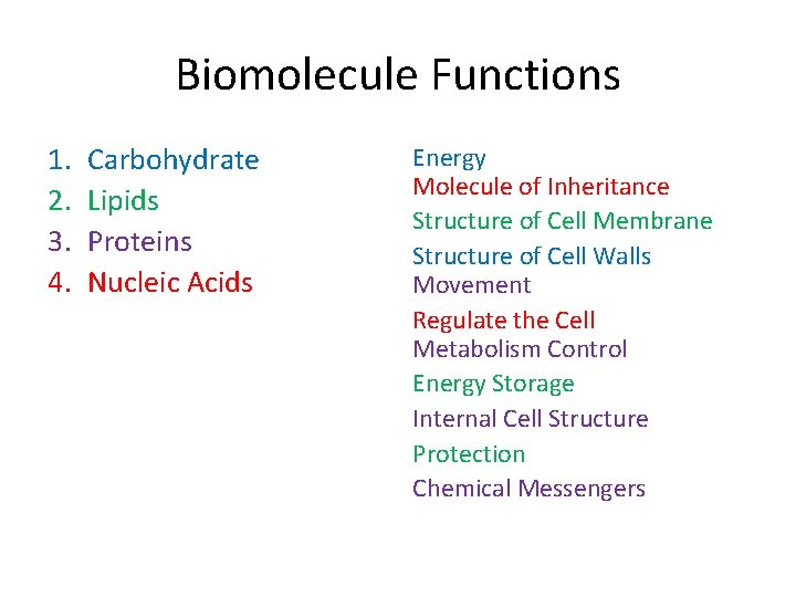 Biomolecules Test Review Each slide will present the
