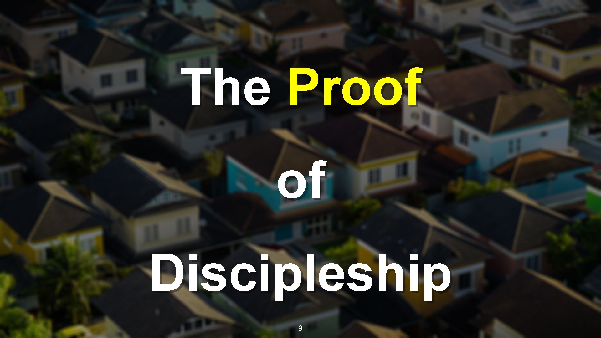 1 1I am the Vine the True One