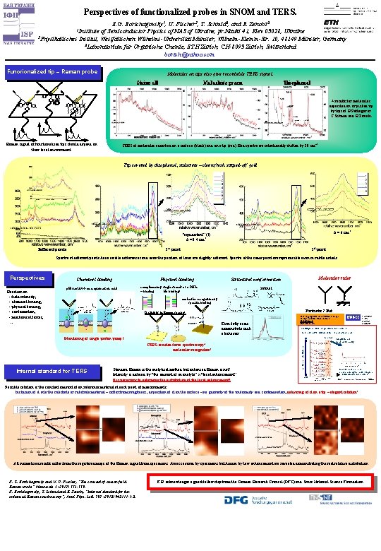 Perspectives of functionalized probes in SNOM and TERS