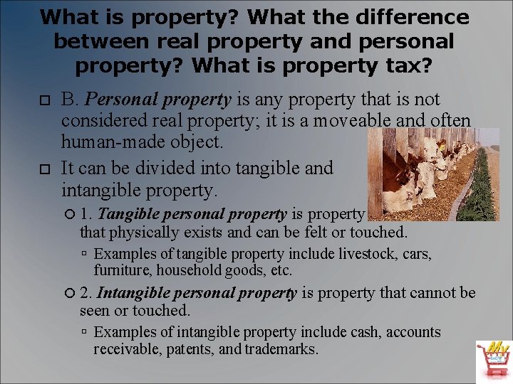 Agribusiness Library LESSON L 060057 PROPERTY TAXES Objectives