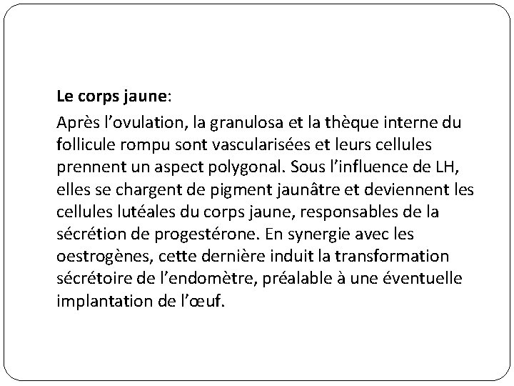 EMBRYOLOGIE HUMAINE Rappel Avant lovulation sous linfluence des