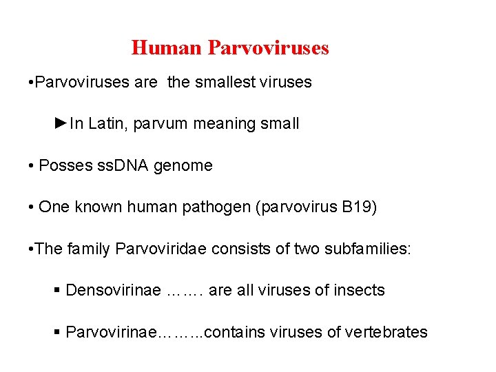 Human Parvoviruses Acknowledgment Addis Ababa University Jimma University