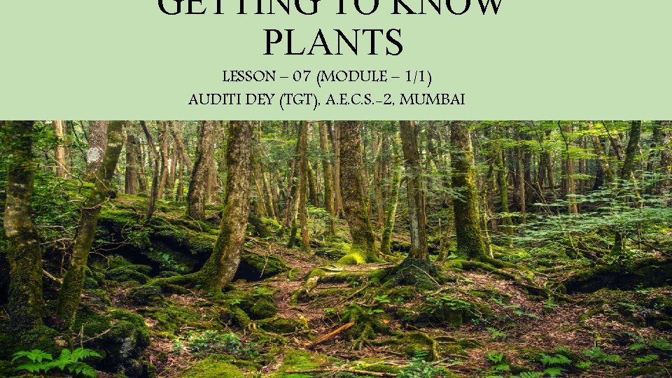 GETTING TO KNOW PLANTS LESSON 07 MODULE 11
