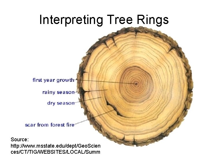 Paleoclimatology Investigative Science What is Paleoclimatology ...