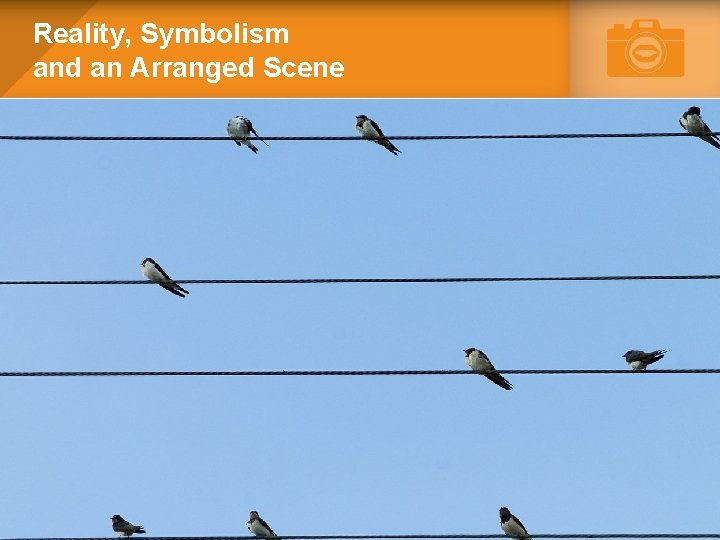 Reality Symbolism and an Arranged Scene Reality Symbolism