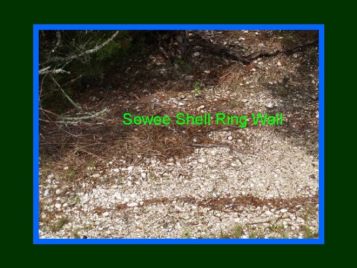 Richard F Dame Acknowledgements Robert Gardner USC Fred