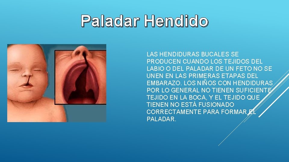 Lenguaje Tcnico TATIANA ZULUAGA CARMONA AUXILIAR SALUD ORAL