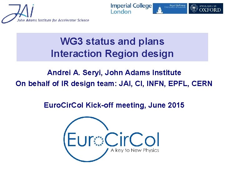 WG 3 status and plans Interaction Region design