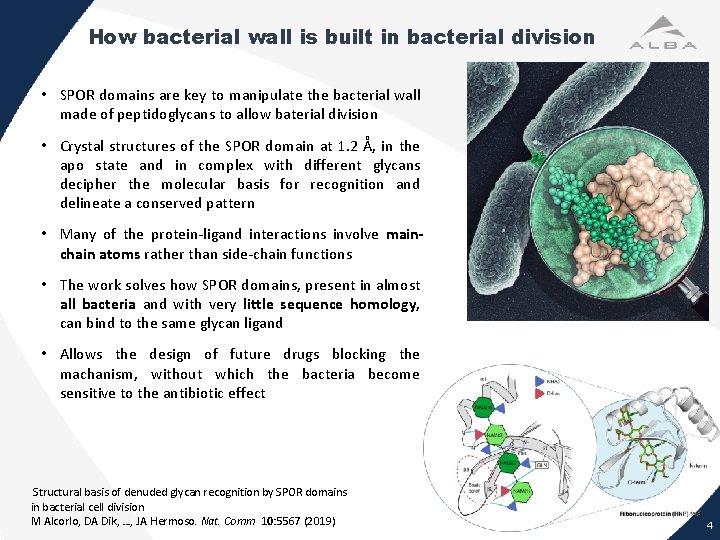 The single crystal diffraction at ALBA drug development