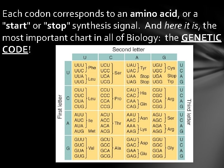 The order of the bases in DNA and