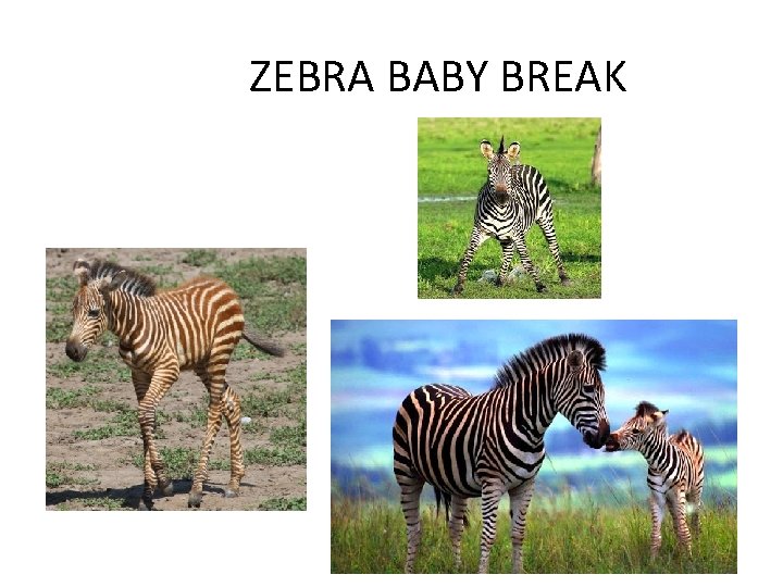 Unit 3 Day 3 WarmUp November 3 rd