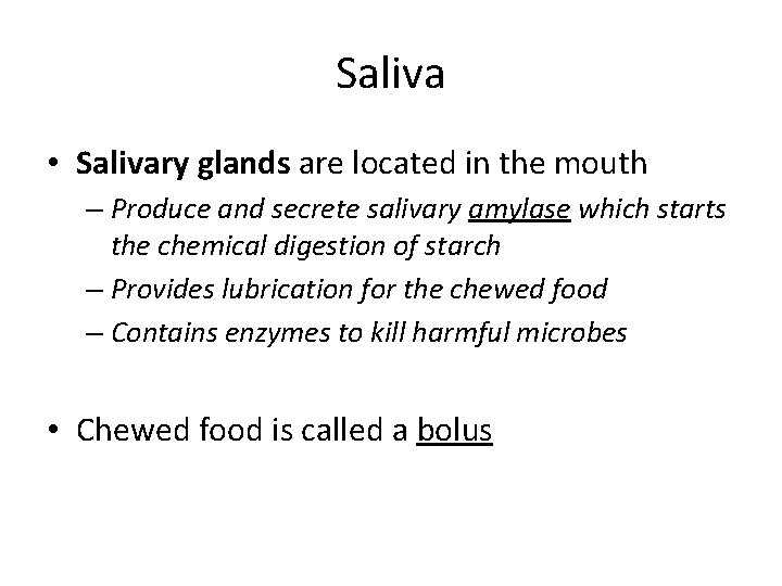 Quaestio How do humans obtain and process nutrients