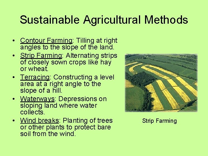 Sustainable Agriculture By Elliot Moskat Jenna Sanders Westin