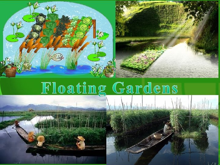 The Awesome Aztecs Introduction The Aztec tribe lived