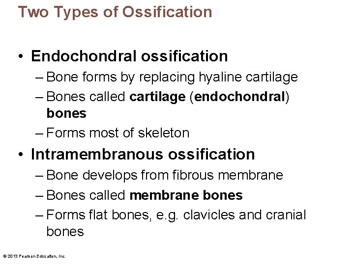 Power Point Lecture Slides prepared by Barbara Heard