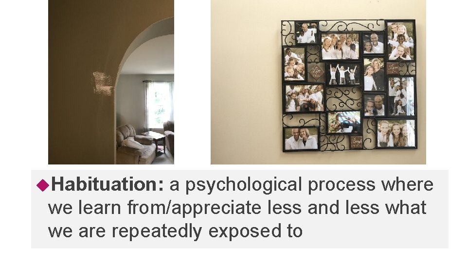 Habituation a psychological process where we learn fromappreciate
