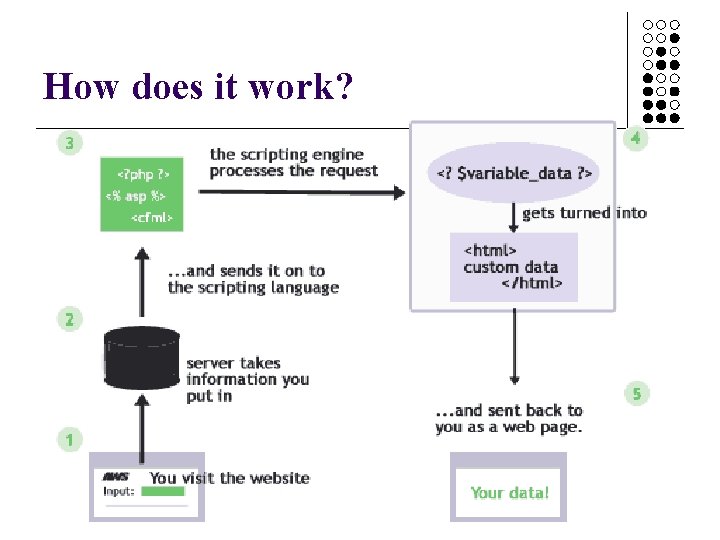 Introduction and Principles Web Server Scripting Outcomes Understand