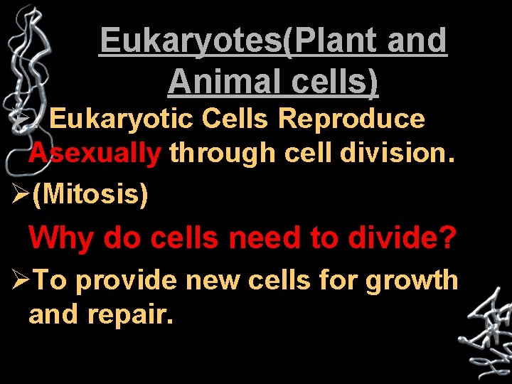 Unit 4 Inheritance of Traits Meiosis Prokaryotes and