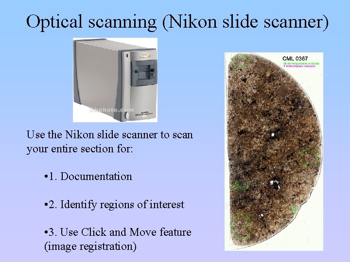 Uof O Geology 619 Electron Beam Micro Analysis