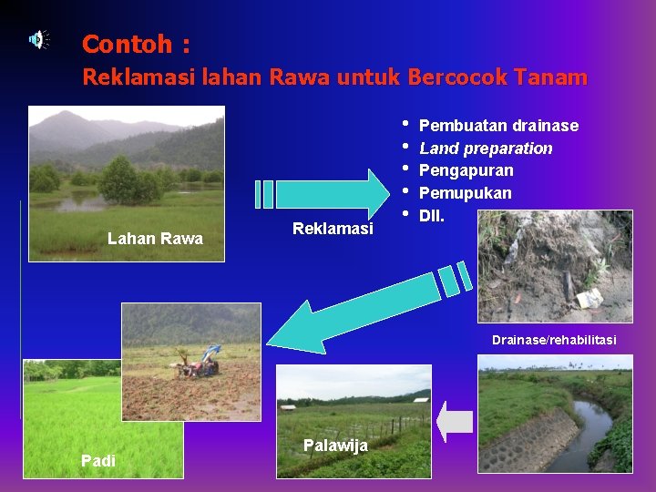 KONSEP REHABILITASI DAN PENGELOLAAN LAHAN Istilah dan Pengertian