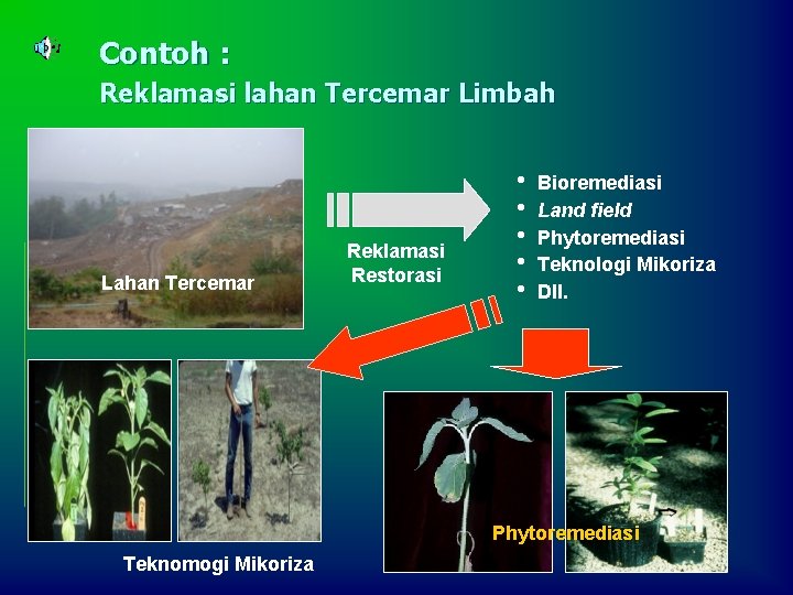 KONSEP REHABILITASI DAN PENGELOLAAN LAHAN Istilah dan Pengertian