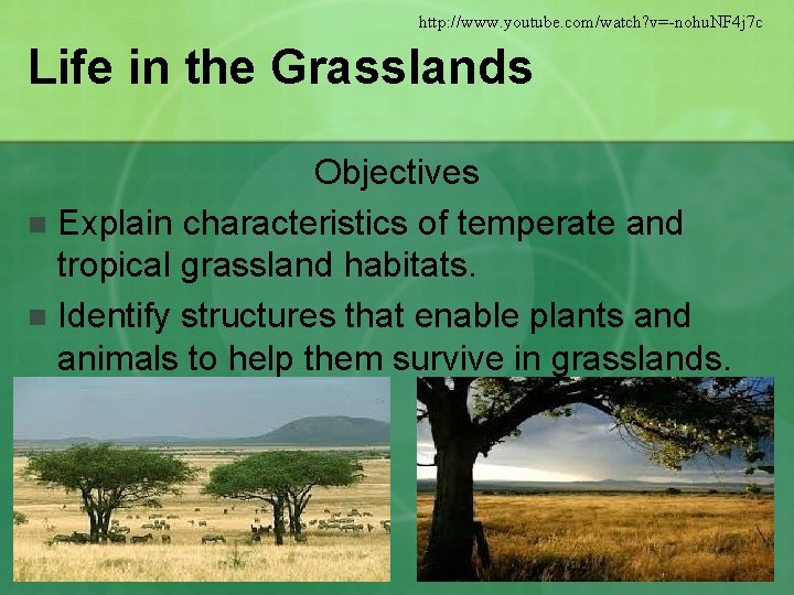 Habitats and Adaptations How do adaptations help living