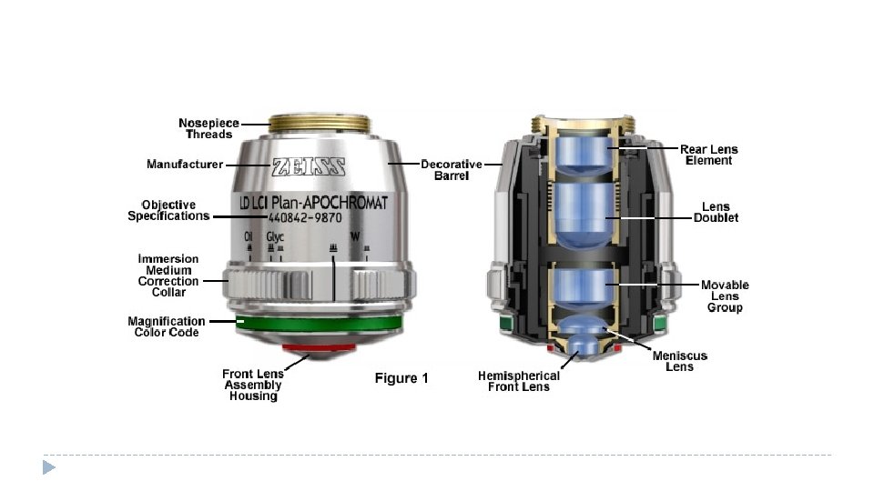 Lecture 2 Microscopy Introduction to Microscopy Cell Biology