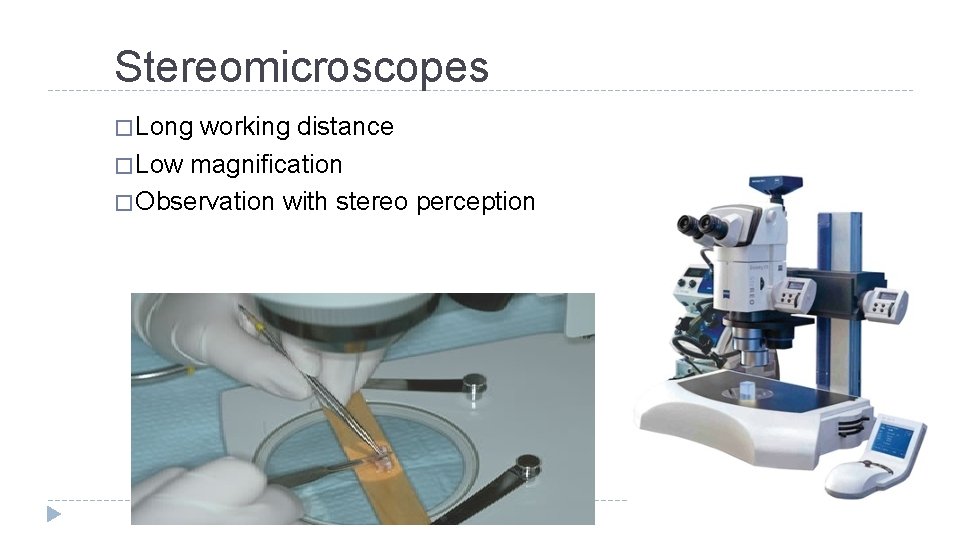 Lecture 2 Microscopy Introduction to Microscopy Cell Biology