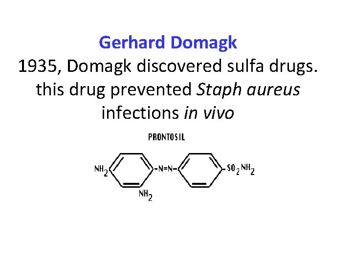 Lecture 1 Antimicrobial Chemotherapy Introduction Dr Abeer ElSherbiny