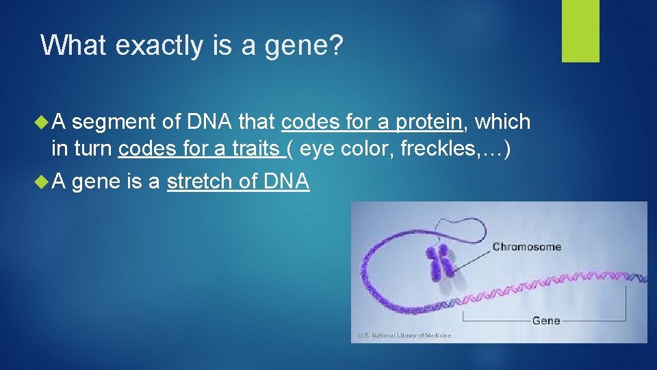 DNA PART 1 THE BLUEPRINT OF LIFE DNA