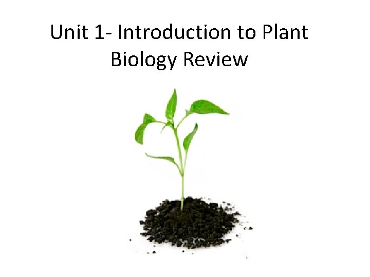 Unit 1 Introduction to Plant Biology Review 1