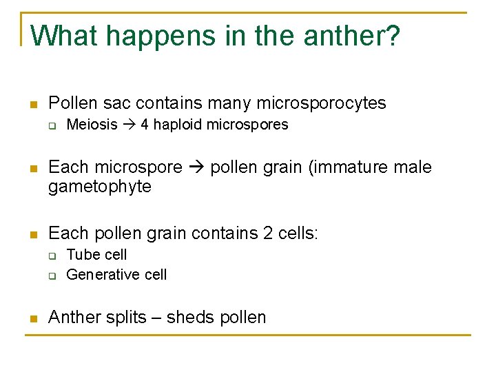 Angiosperms Earths dominant plants Angiosperm Characteristics n Vascular