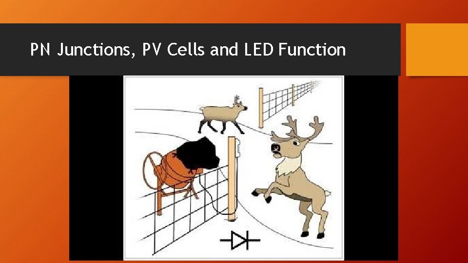 Fostering Physics Content and Pedagogy Learning by Future
