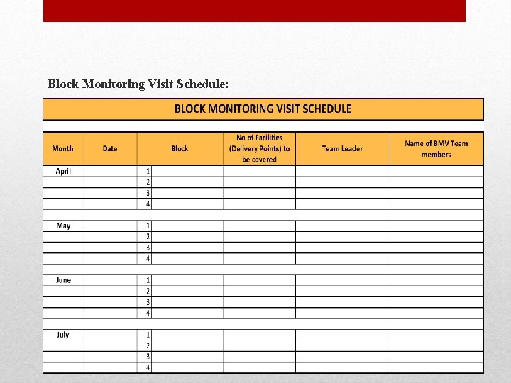 Call to Action Maharashtra Block Monitoring Visit Why
