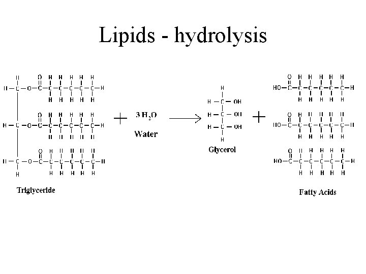 Biochemistry Andreas Azzopardi Water Glucose Disaccharides 2 linked