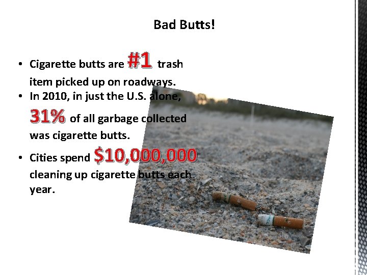 Environmental Impact Anatomy of a Cigarette Dangers of