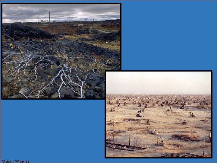 Canadas ENVIRONMENTAL ISSUES Presentation Graphic Organizers Activities ...