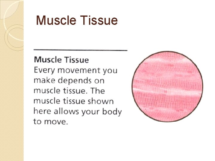 Body Organization and Homeostasis How is a text