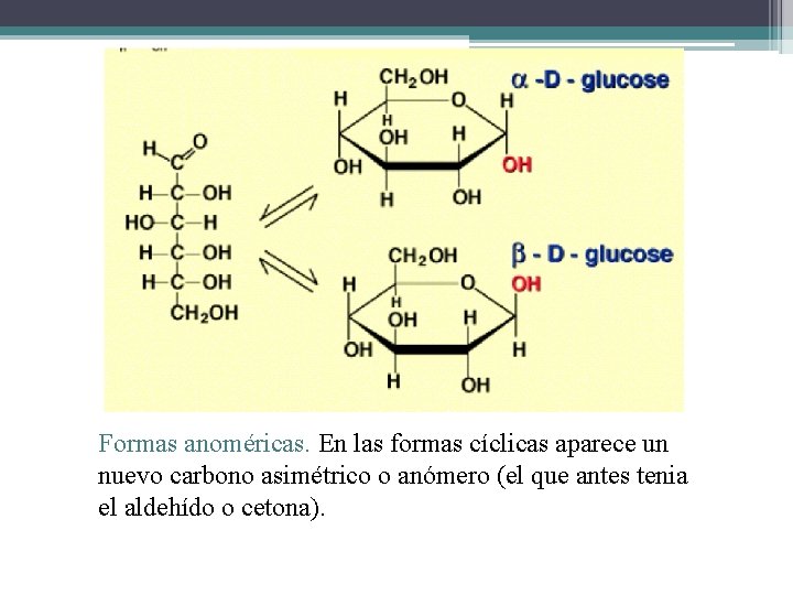 PROF SANTIAGO LANTERNA 6 M 4 QUIMICA Concepto