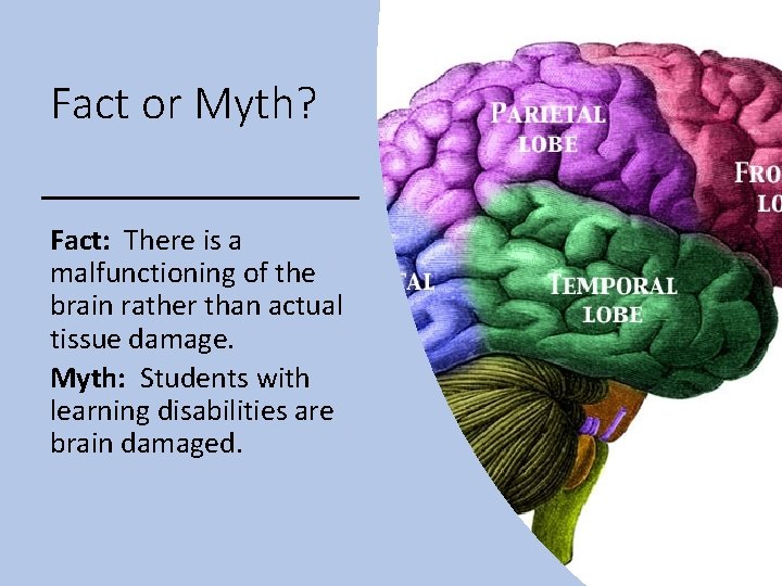 Learning Disabilities Lisa Joyner M Ed Cross Categorical
