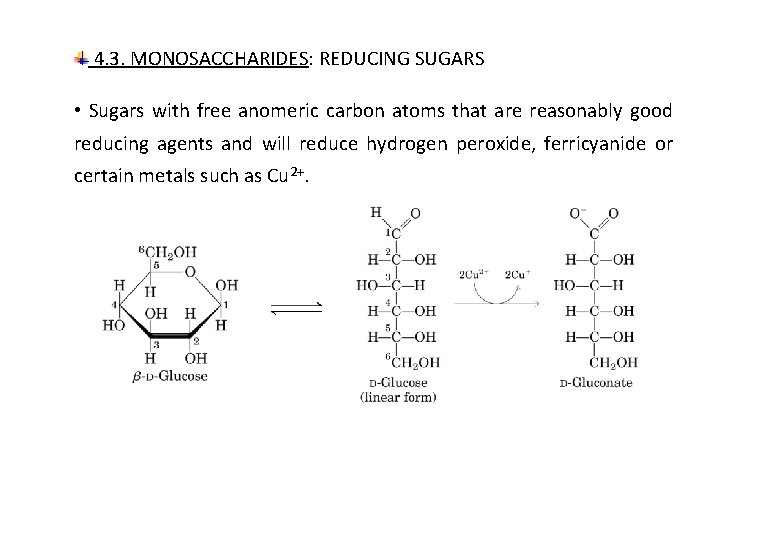 UNIT 4 CARBOHYDRATES OUTLINE 4 1 Introduction 4
