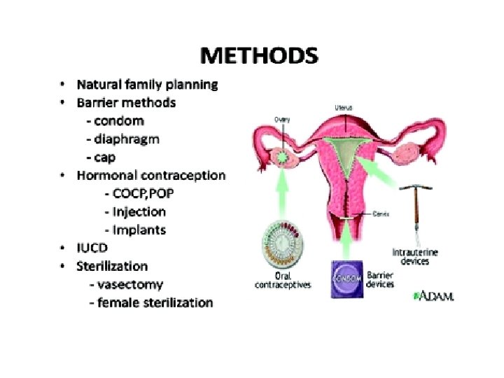 Pre pregnancy competency and family planning Introduction Competencies