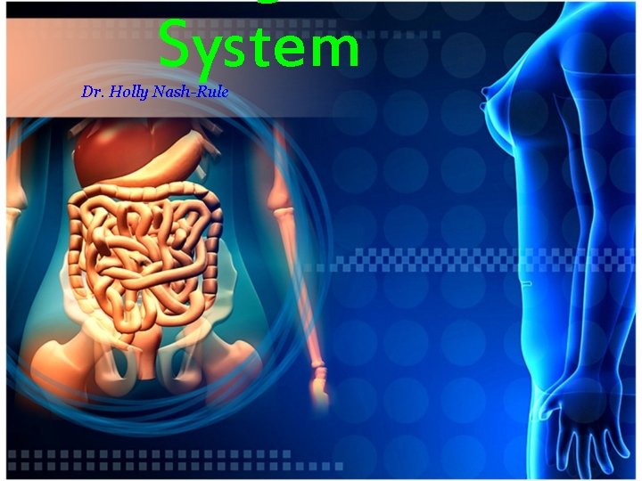 System Dr Holly NashRule Overview of the Digestive