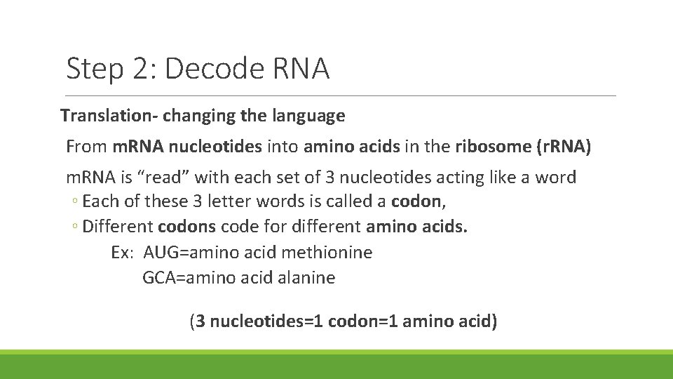 Focus Lesson Please grab the new handout from